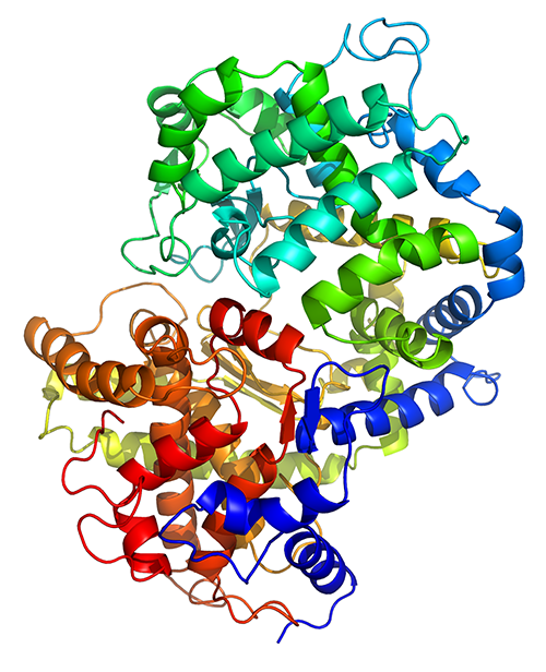 Rare Disease Genes - X-linked hypophosphatemia